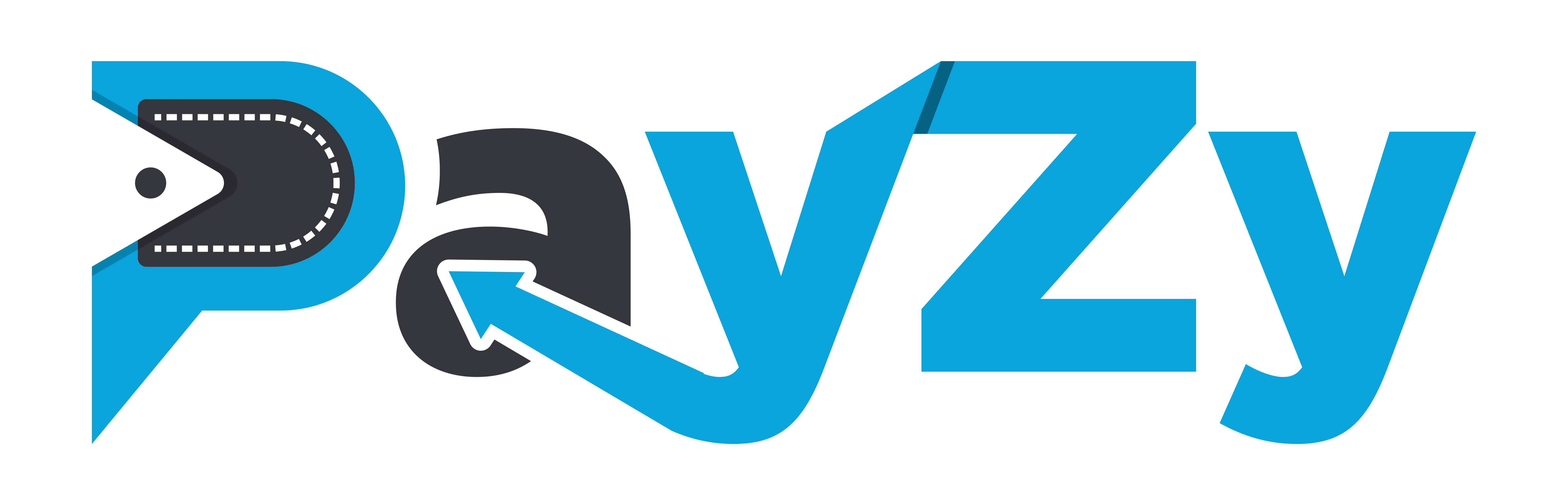 Payzy Customer Portal